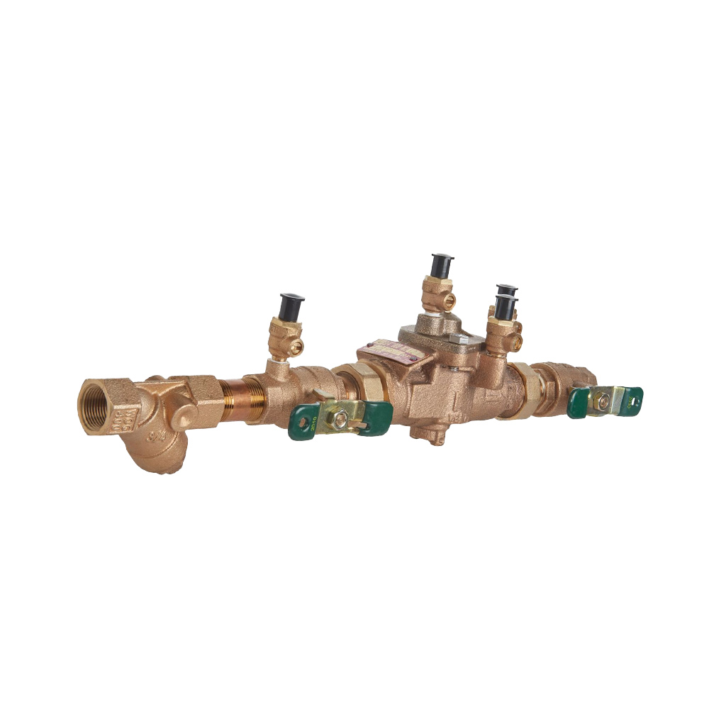 WATTS Reduced Pressure Zone Assembly (RPZ) c/w Ball Valves, Y-Strainer ...